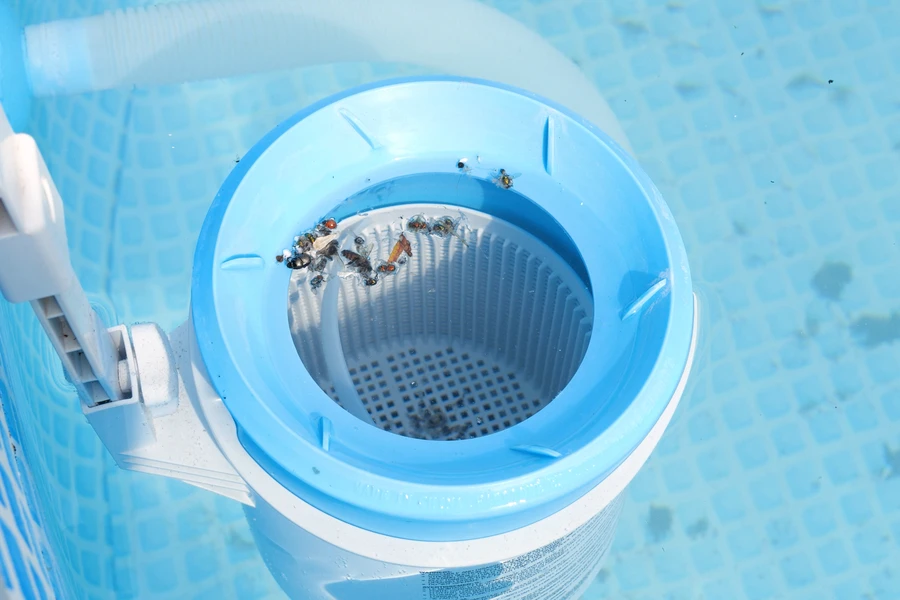Efficient Pool Filter Cleaning in Tampa , FL , 33647